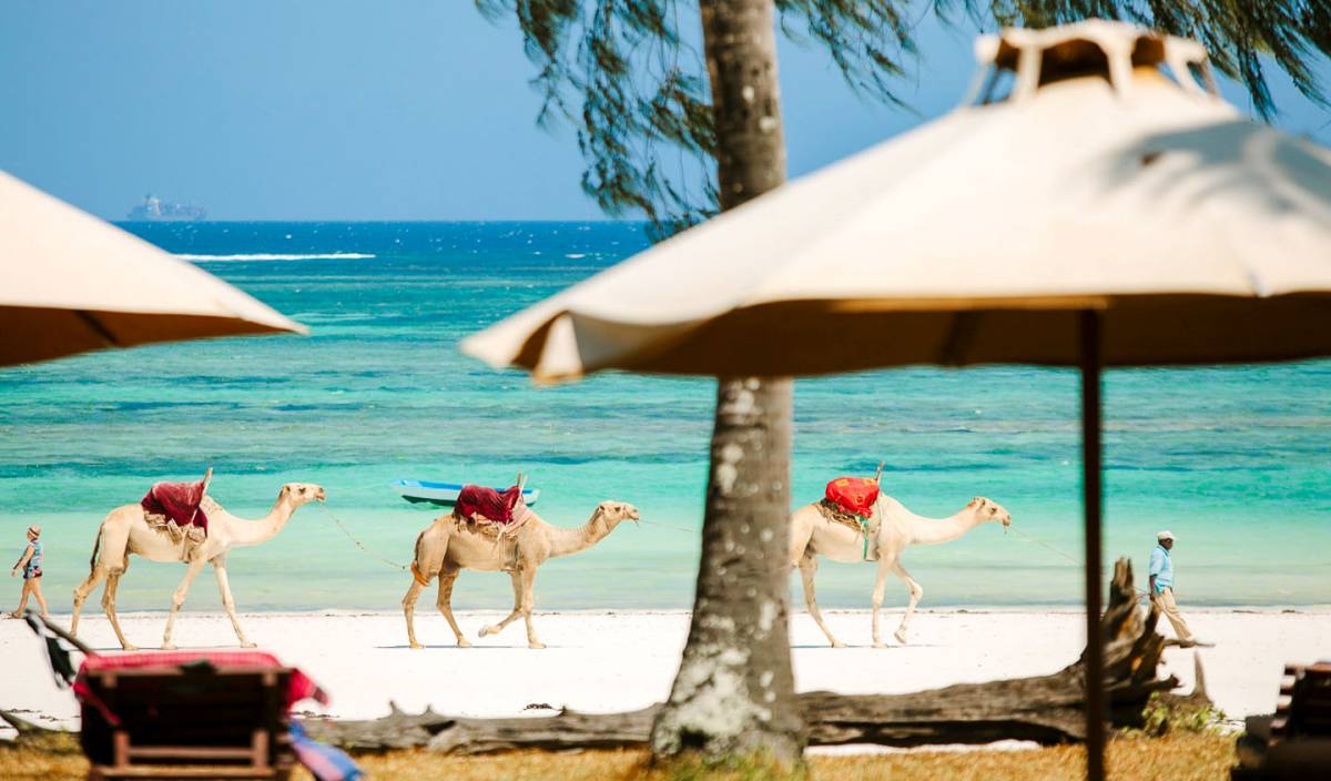 Kenya Beach & Bush Safari – Brag Tours and Events