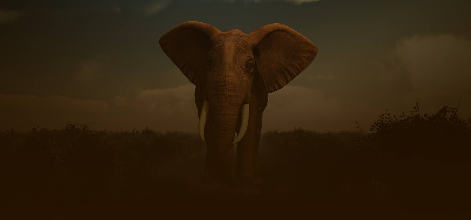 Discover Kenya Special Safari – Brag Tours and Events